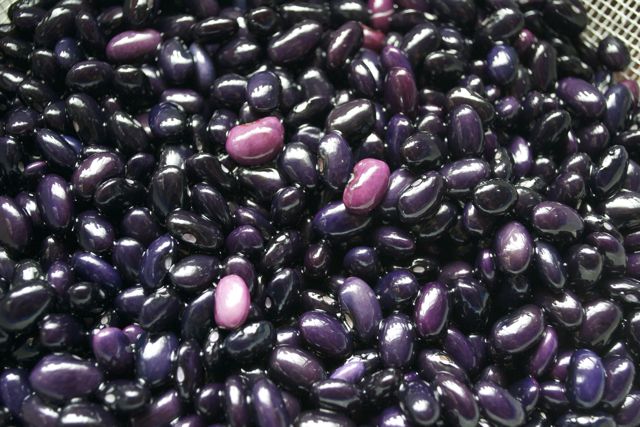 Authentic Guatemalan Frijoles Volteados from Café Condesa – Chocolate ...